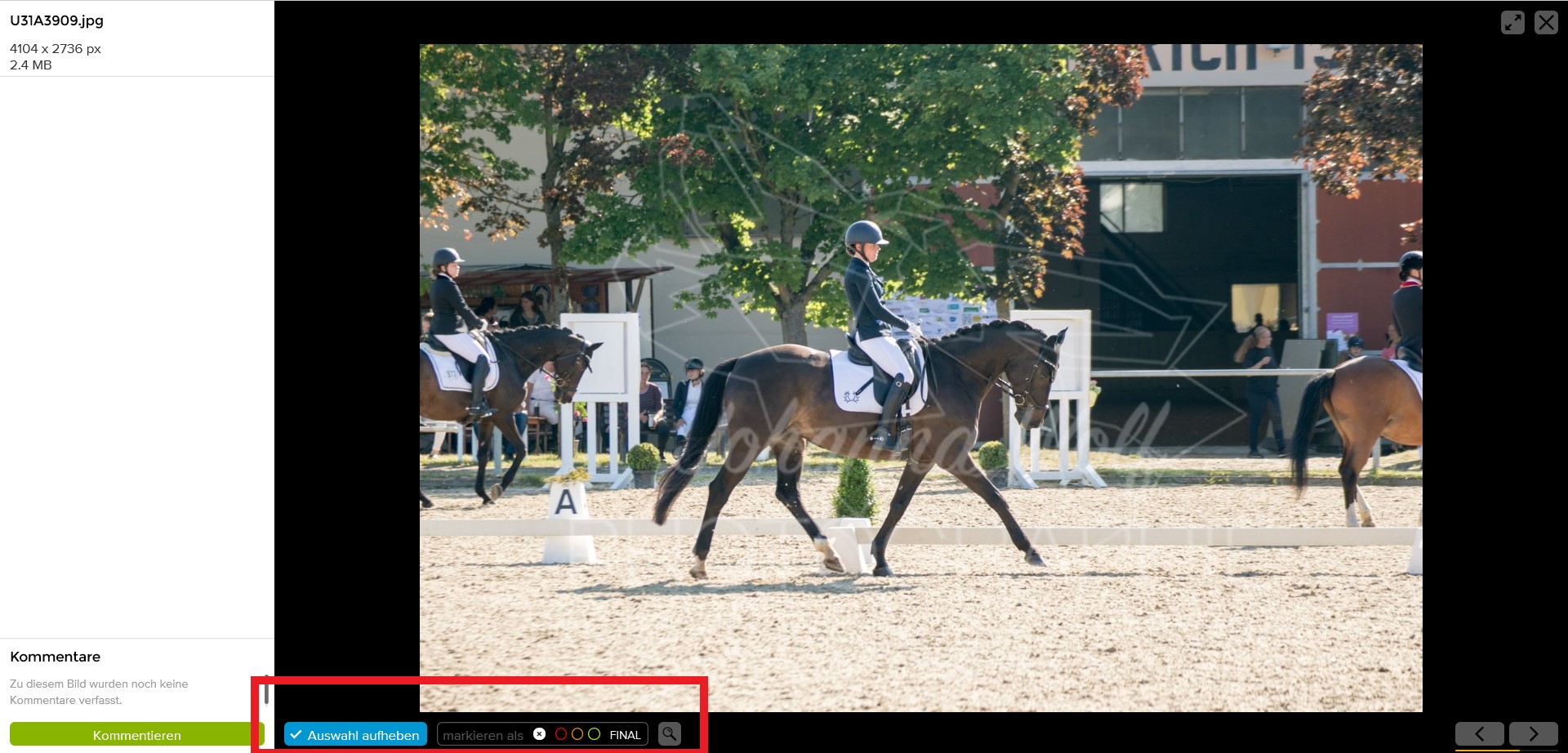 Anleitung Picdrop - Johanna Wolf Photographie